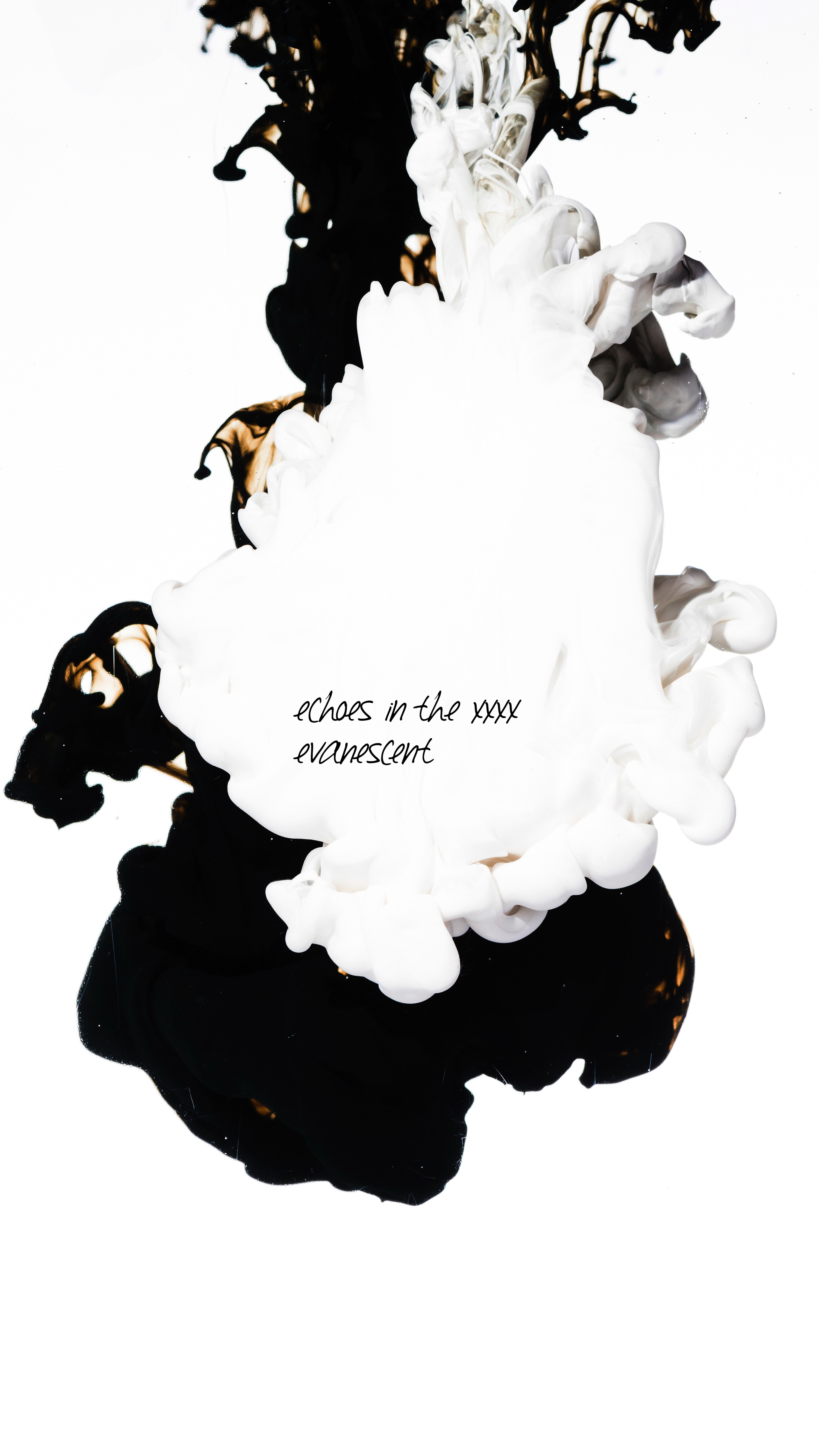 Echoes By とどめ Suno