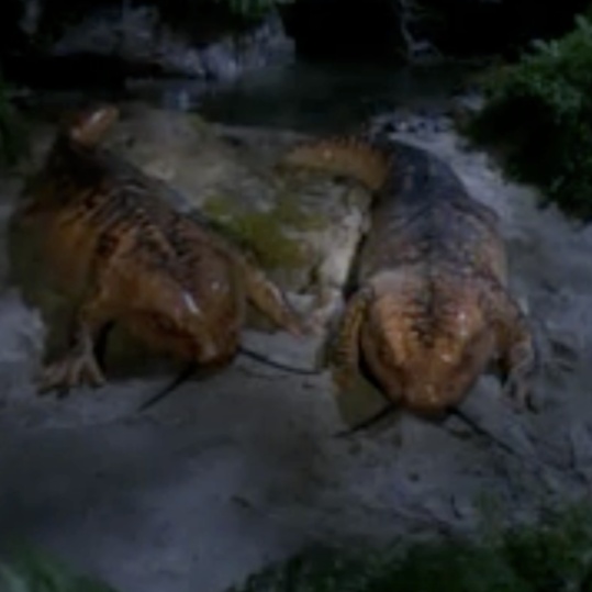 Warp Ten by Oren Otter by Oren Otter | Suno