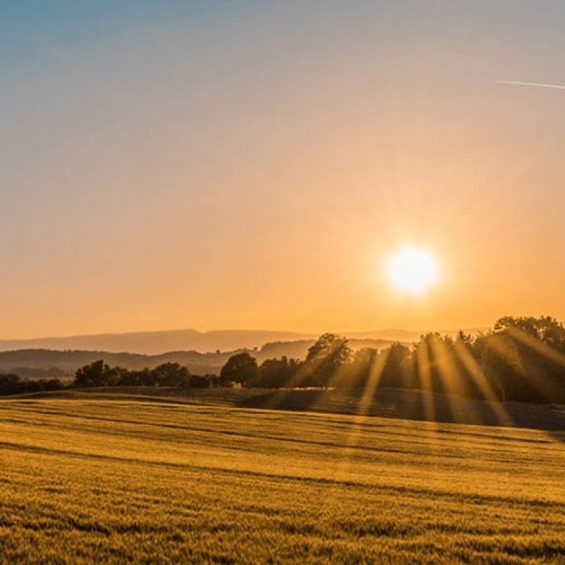 Sunshine by Targhanil | Suno