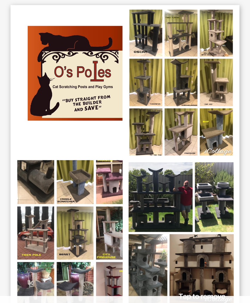 O's Poles Cat Gym by @openslather | Suno