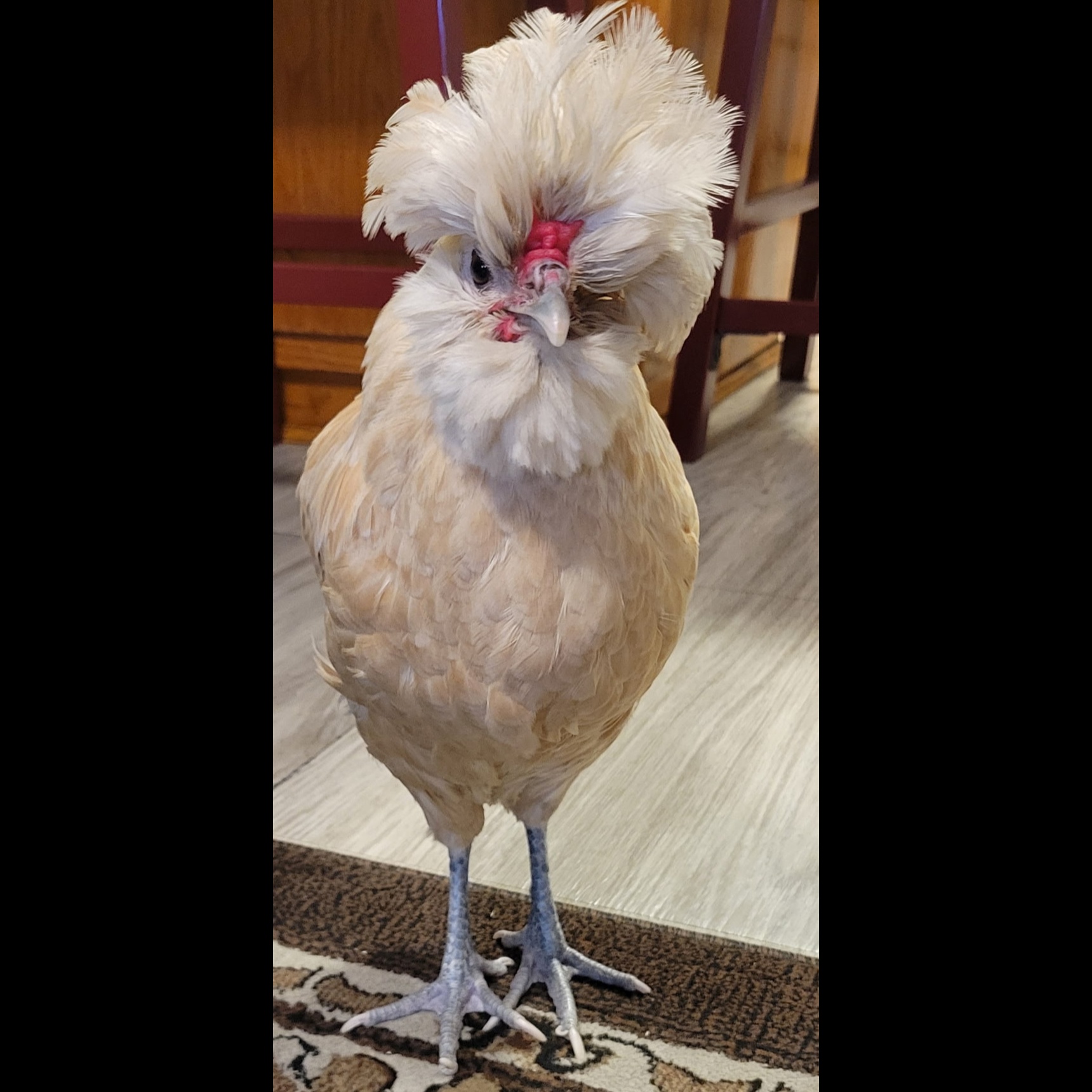 Gene's Epic Lettuce Dance by Remington | Suno