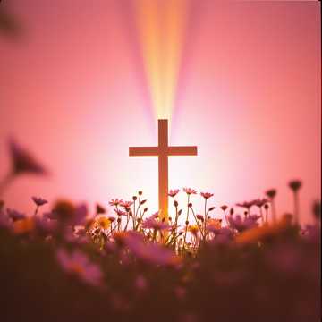 Walk Like Christ by Shoreline Grace | Suno