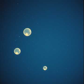 The Grand Primordial Celestial Observatory by ImmortalSeven | Suno