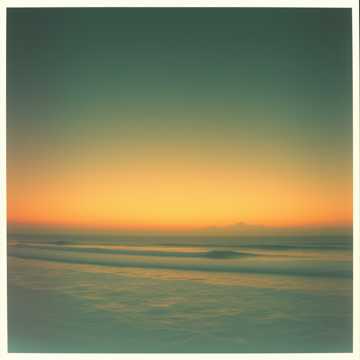 Polaroid Nightdream by Bronco Tropical | Suno