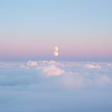 Moonlight Friend by Bronyium | Suno