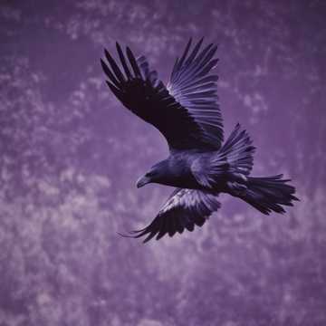 Der Ruf der Nacht by Sucelus | Suno