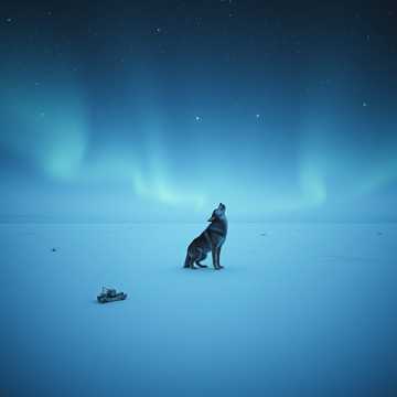 Surviving the Frozen Tundra by Mayhem Music | Suno