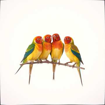 Four Followers and a Smile by TheSpiders | Suno