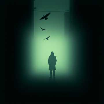 The Birds by One Graham Army Presents | Suno