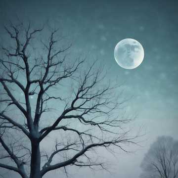 Shadows of Winter (Remastered) by Stu | Suno
