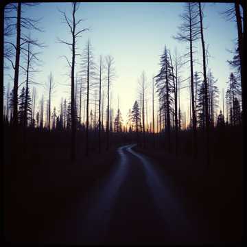 Just A Few Steps Away by /ÆCID | Suno