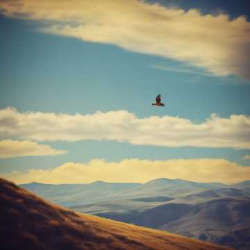 Set Me Free by Art(emis) | Suno