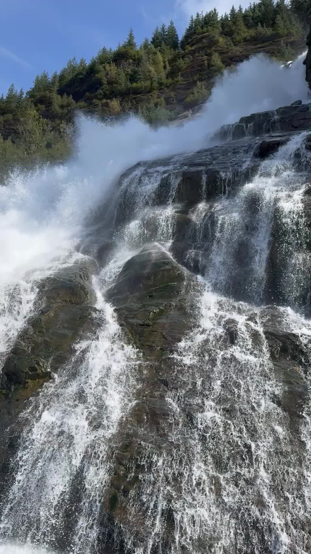 MooseCore Maestro Triple Inversion Canon #3 by MooseCore | Suno